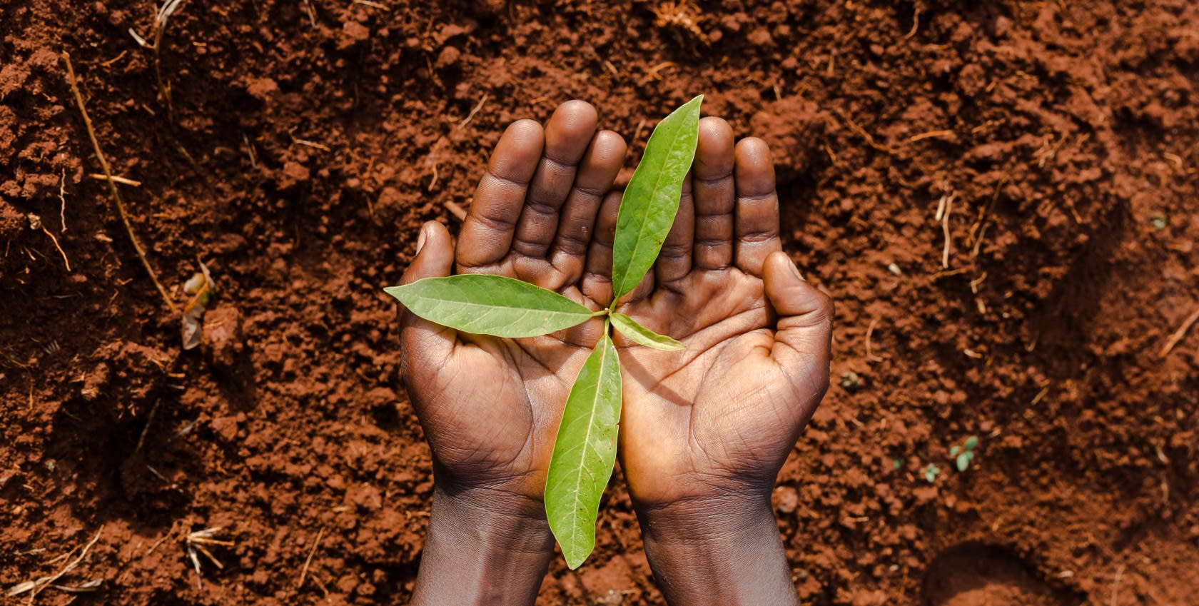 Food Resiliency Tripartite Project (FRTP) - Compassion Canada